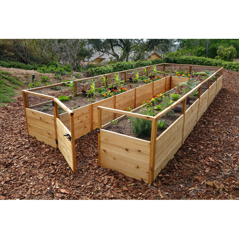 Outdoor Living Today 8 ft. W x 16 ft. D Cedar Garden in a Box Wayfair